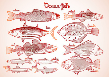 Set fish shells and seafood Royalty Free Vector Image
