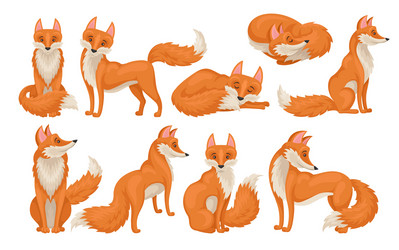 Flat icon of sitting red fox side view Royalty Free Vector