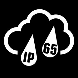 Ip65 protection standard icon on white background Vector Image