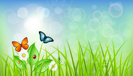 Nature scene background with butterflies flying Vector Image