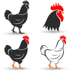 Chicken Vector Images (over 200,000)