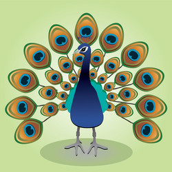 Cartoon smiling peacock Royalty Free Vector Image