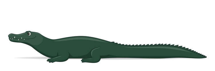 Caiman Vector Images (over 410)