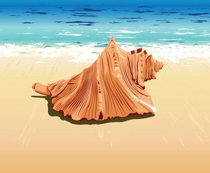 Beach Shell Vector Images (over 27,000)