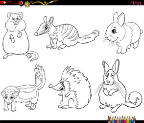 Viscacha Vector Images (81)