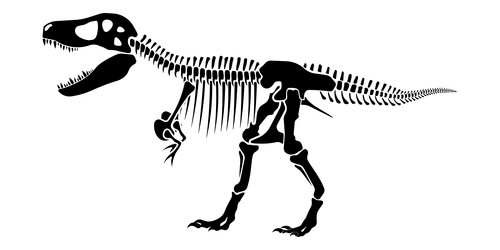 Tyrannosaurus Rex Skeleton Drawing