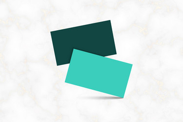 Blank visiting card template mockup design Vector Image