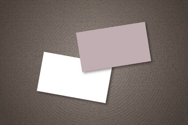 Blank visiting card template mock up and design Vector Image
