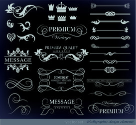 Calligraphic design elements decorative swirls Vector Image
