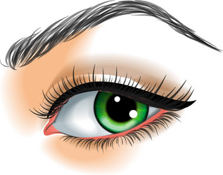 Eye shadow make up step step Royalty Free Vector Image