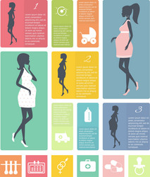 Pregnancy and birth infographics stages Royalty Free Vector