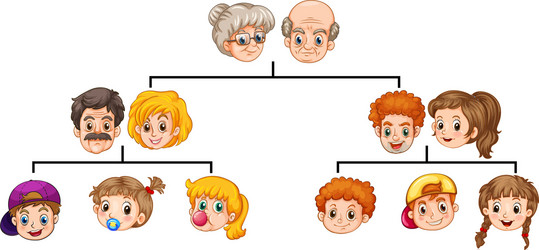 Cartoon of family tree Royalty Free Vector Image