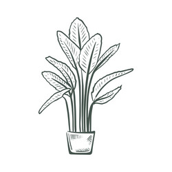 Plant Pot Sketch Vector Images (over 6,500)