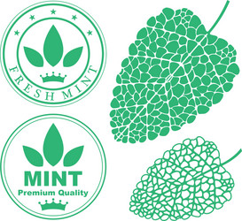 Mint Outline Vector Images (over 6,000)