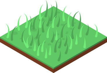 Grass Floor Isometric Vector Images (over 100)