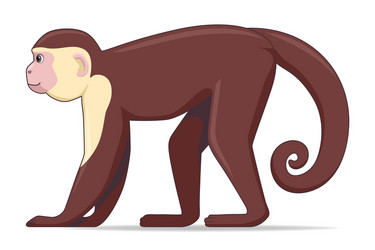 Cute little capuchin monkey cartoon Royalty Free Vector