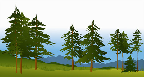 Forest Vector Images (over 630,000)