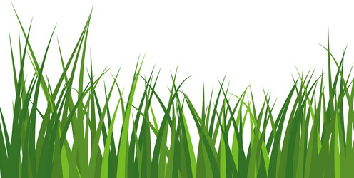 Green grass meadow Royalty Free Vector Image - VectorStock