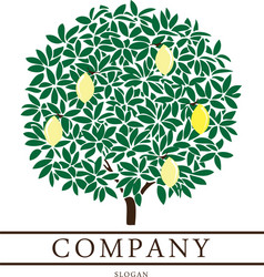 Lemon Tree Logo Vector Images (over 490)