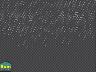 Rain transparent template background falling Vector Image