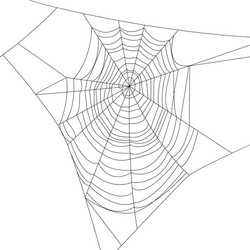 Spider Web Vector Images (over 35,000)