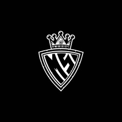 Zm logo monogram shield crown luxury design Vector Image