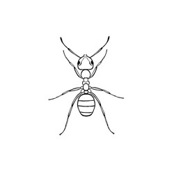 Simple Animated Ant Vector Images (over 920)