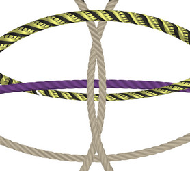 Set isolated hanging ropes with tassels Royalty Free Vector