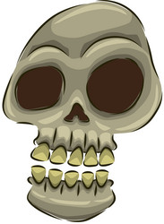 Hand drawn element cartoon cute skull Royalty Free Vector