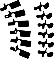 Backbone Vector Images (over 7,600)