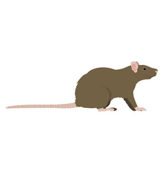 Rat Side View Vector Images (41)