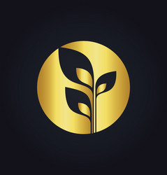 Gold Leaf Tree Vector Images (over 16,000)