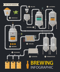 Whiskey production process infographic Royalty Free Vector