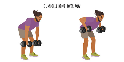 Dumbbell Bent Over Row Vector Images (40)