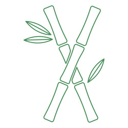 Bamboo plant color stroke high quality Royalty Free Vector