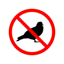 Prohibition sign do not feed pigeons sign Vector Image
