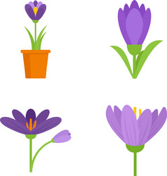 Crocus logo Royalty Free Vector Image - VectorStock