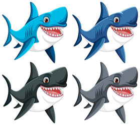 Great white shark smiling Royalty Free Vector Image