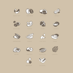 Nut icon set Royalty Free Vector Image - VectorStock