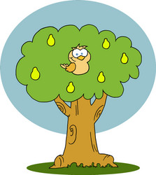 Partridge in a pear tree cartoon Royalty Free Vector Image