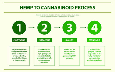 Workflow infographic template design with 6 Vector Image
