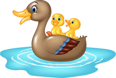 Cartoon duck floats on water Royalty Free Vector Image