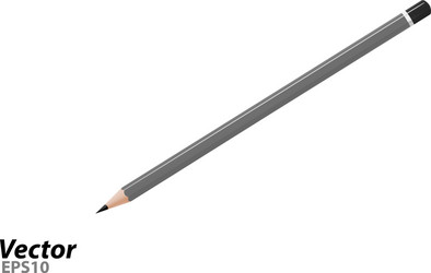 Wooden graphite pencil Royalty Free Vector Image