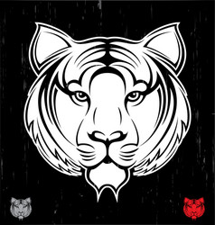White tiger face Royalty Free Vector Image - VectorStock