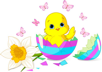 Cartoon little chick hatching from an easter egg Vector Image