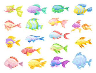 Saltwater Fish Vector Images (over 8,100)