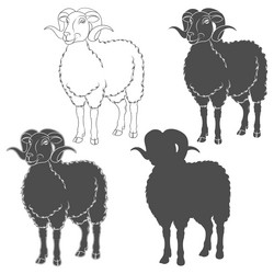 Sheep Horn Vector Images (over 5,900)