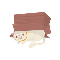 Cat Under Box Vector Images (54)