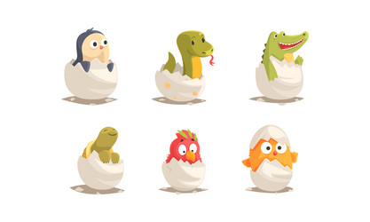 Funny bird baby hatching from egg Royalty Free Vector Image