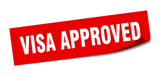 Visa approved sticker label Royalty Free Vector Image